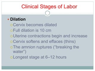L7-Physiology of labor.pdf lecture notes | PDF
