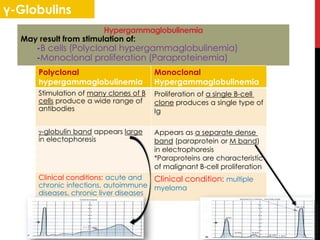 L7-plasma proteins.pdf