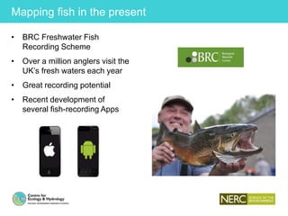 Mapping fish at the UK scale - present and potential - Ian J. Winfield ...