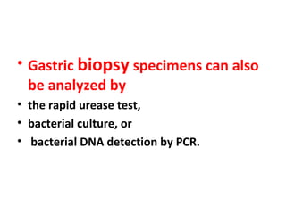 chronicgastritis | PPT