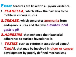 L7 chronic gastritis f | PPT