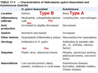 L7 chronic gastritis f | PPT
