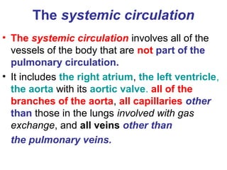 L7 circulatory routes | PPT