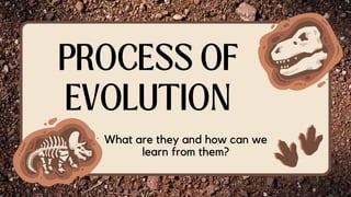 L7_Evolutions.pdfvgcvfyxdgvjbftcgxdfxbmjh | PPT