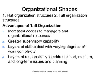 L7 organizational structure (theory part).pptx
