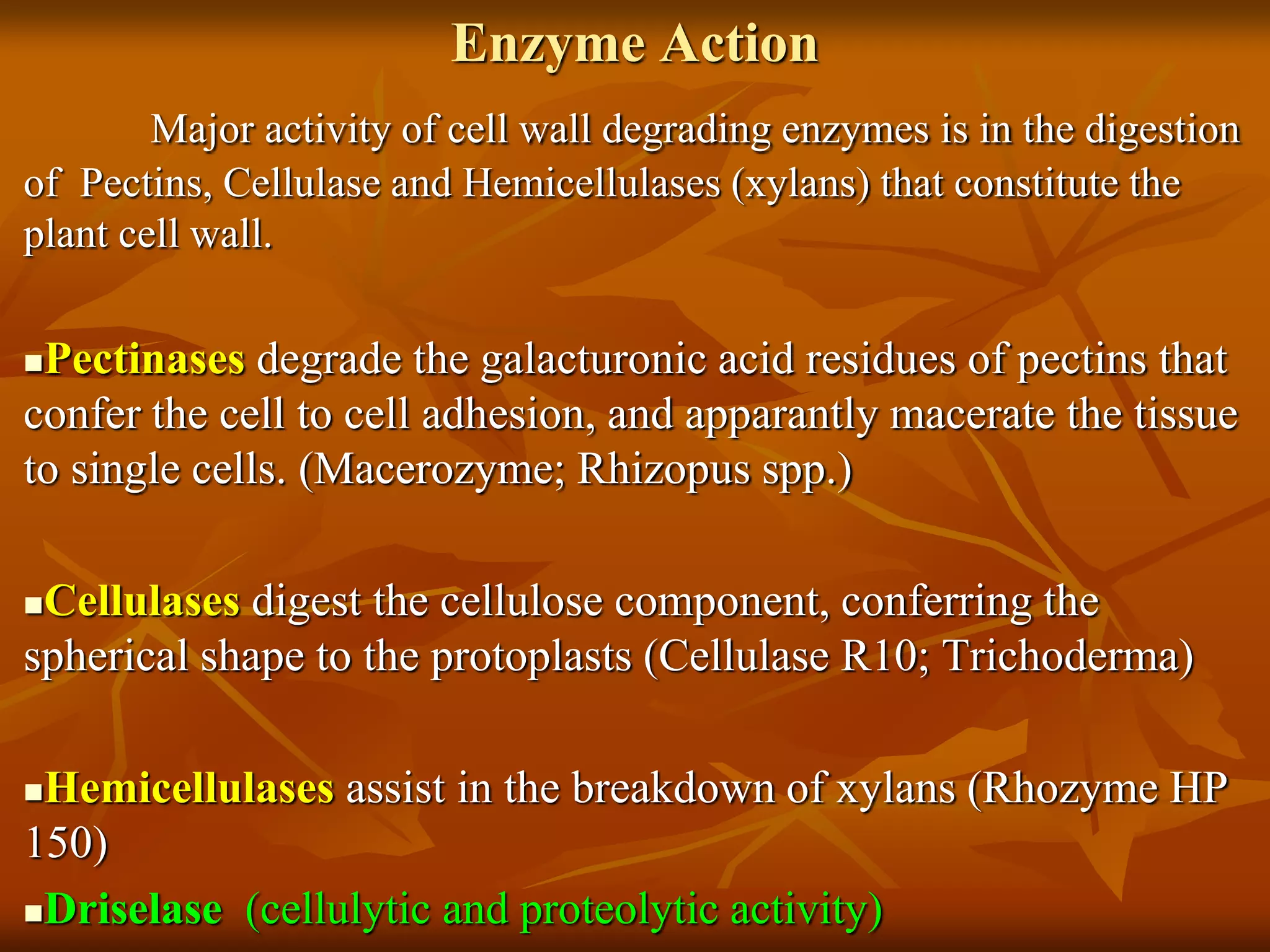 L 7 Plant protoplasts .ppt