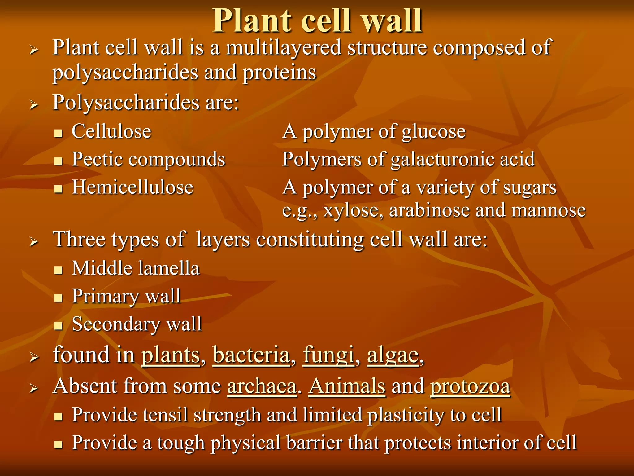 L 7 Plant protoplasts .ppt
