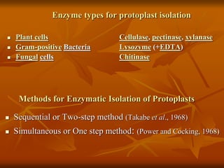 L 7 Plant protoplasts .ppt