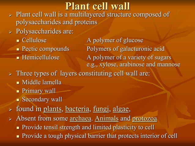 L 7 Plant protoplasts .ppt