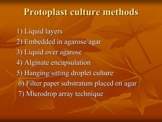 L 7 Plant protoplasts .ppt