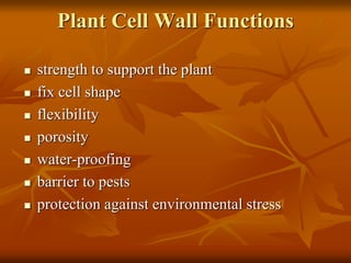 L 7 Plant protoplasts .ppt