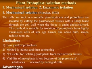 L 7 Plant protoplasts .ppt