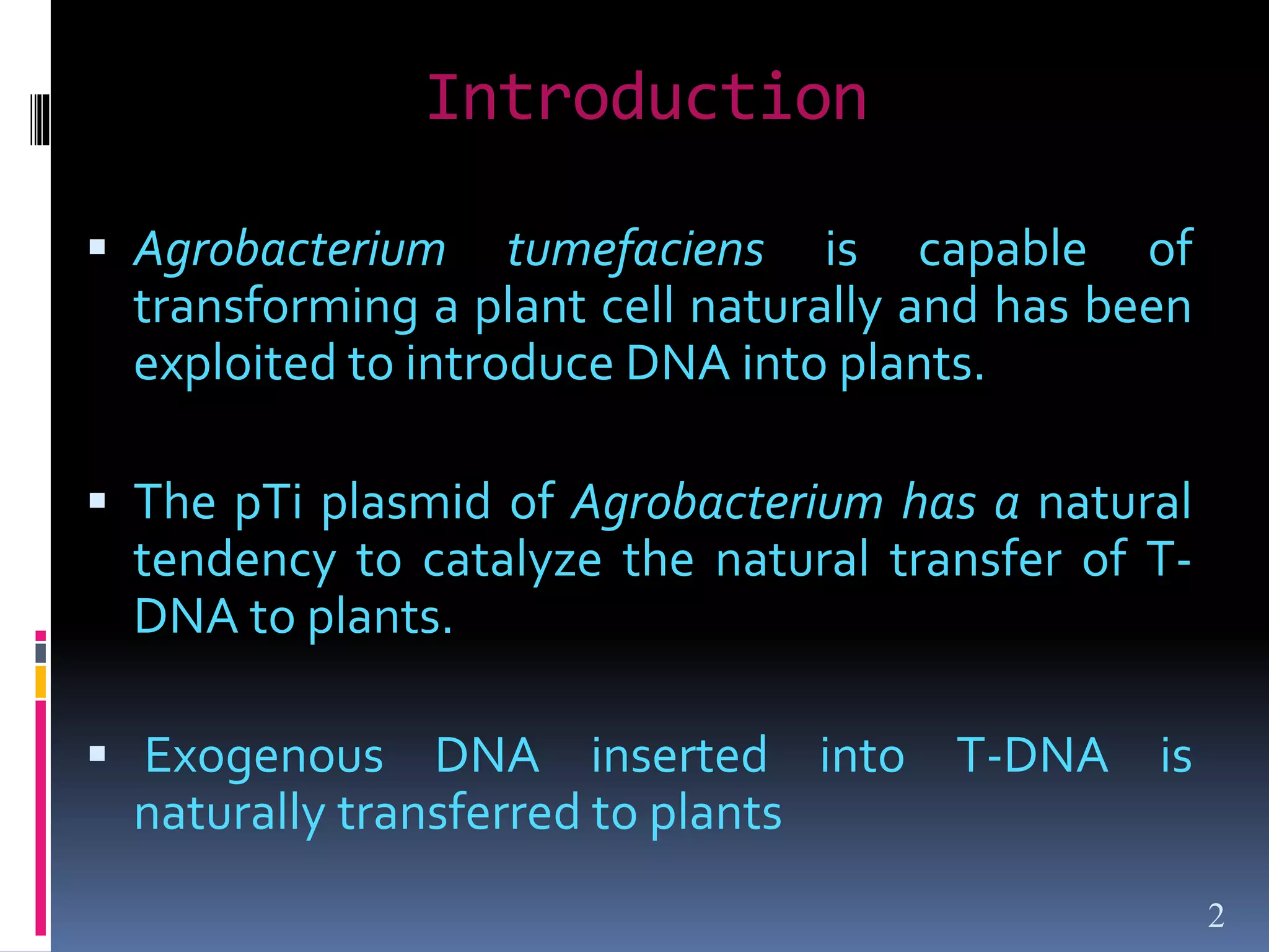 L8. agrobacterium tumefaciens based vectors | PPTX