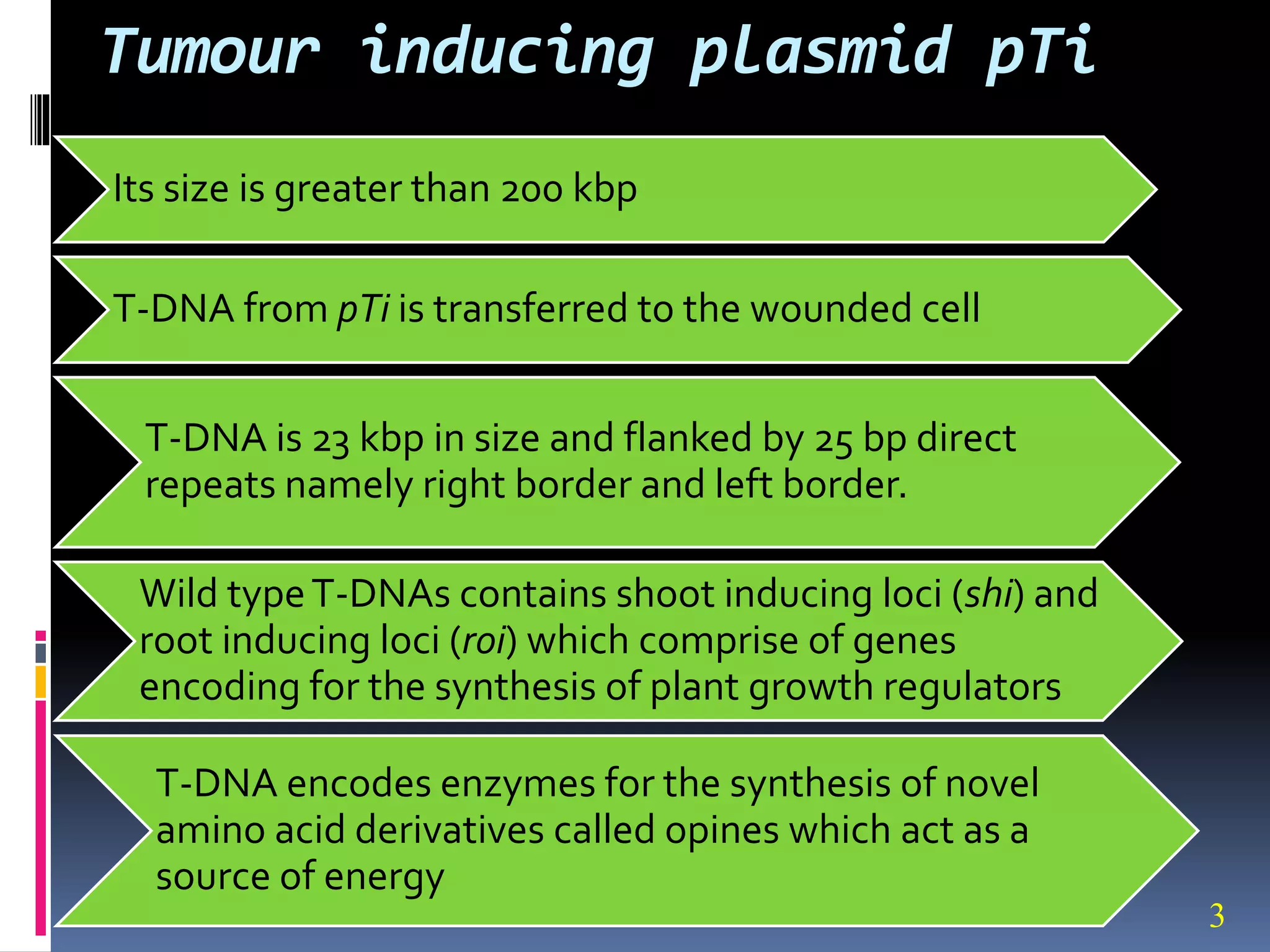 L8. agrobacterium tumefaciens based vectors | PPTX
