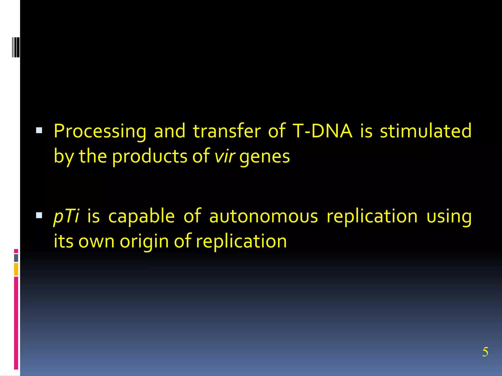 L8. agrobacterium tumefaciens based vectors | PPTX
