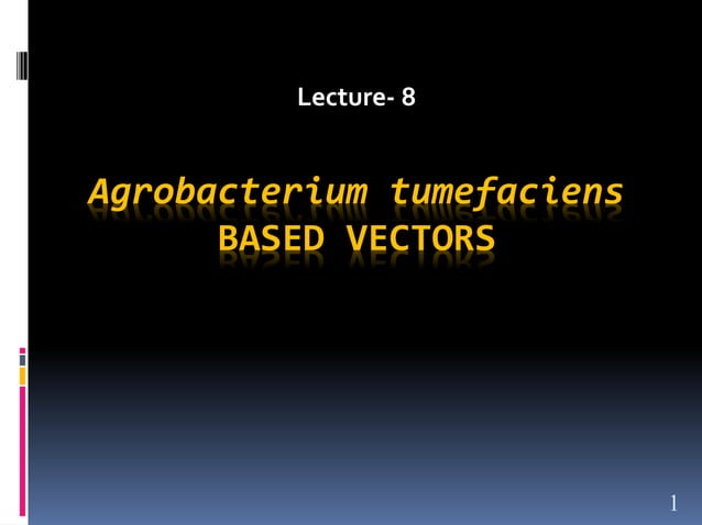 L8. agrobacterium tumefaciens based vectors | PPTX | Biotech and ...