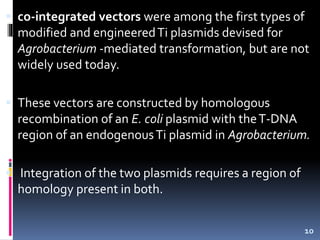 L8. agrobacterium tumefaciens based vectors | PPTX