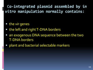 L8. agrobacterium tumefaciens based vectors | PPTX