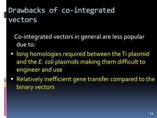 L8. agrobacterium tumefaciens based vectors | PPTX