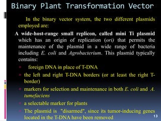 L8. agrobacterium tumefaciens based vectors | PPTX