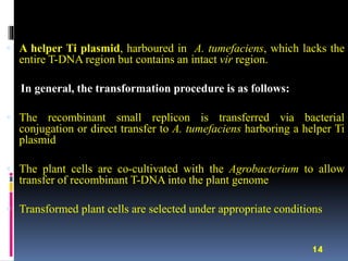 L8. agrobacterium tumefaciens based vectors | PPTX