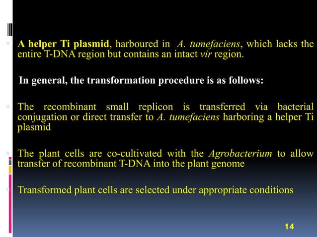 L8. agrobacterium tumefaciens based vectors | PPTX | Biotech and ...