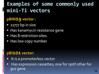 L8. agrobacterium tumefaciens based vectors | PPTX