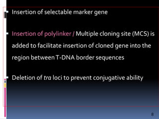L8. agrobacterium tumefaciens based vectors | PPTX