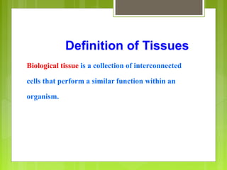 L8.Tissues.ppt