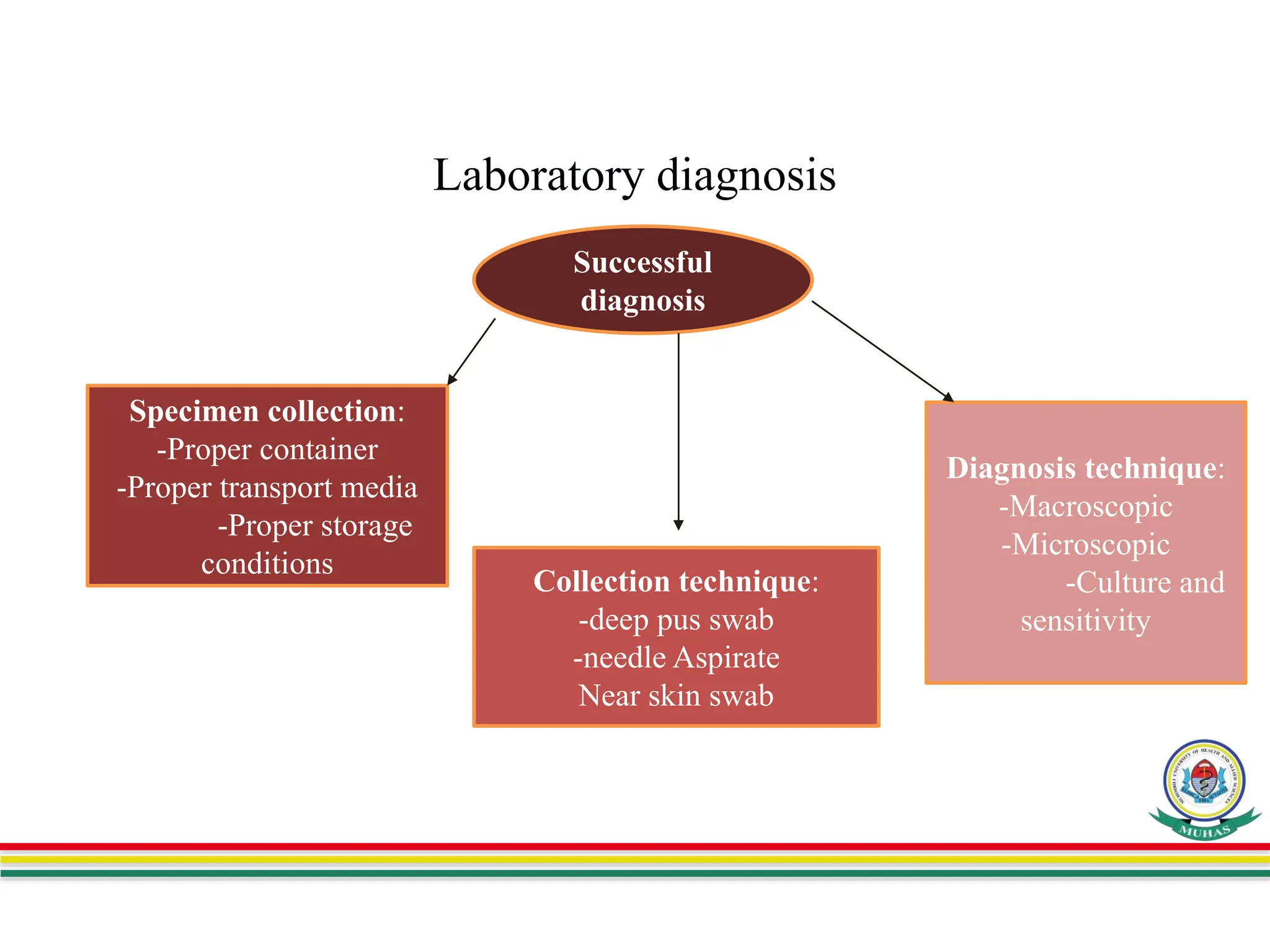 L8. Skin and soft tissue infections .pptx
