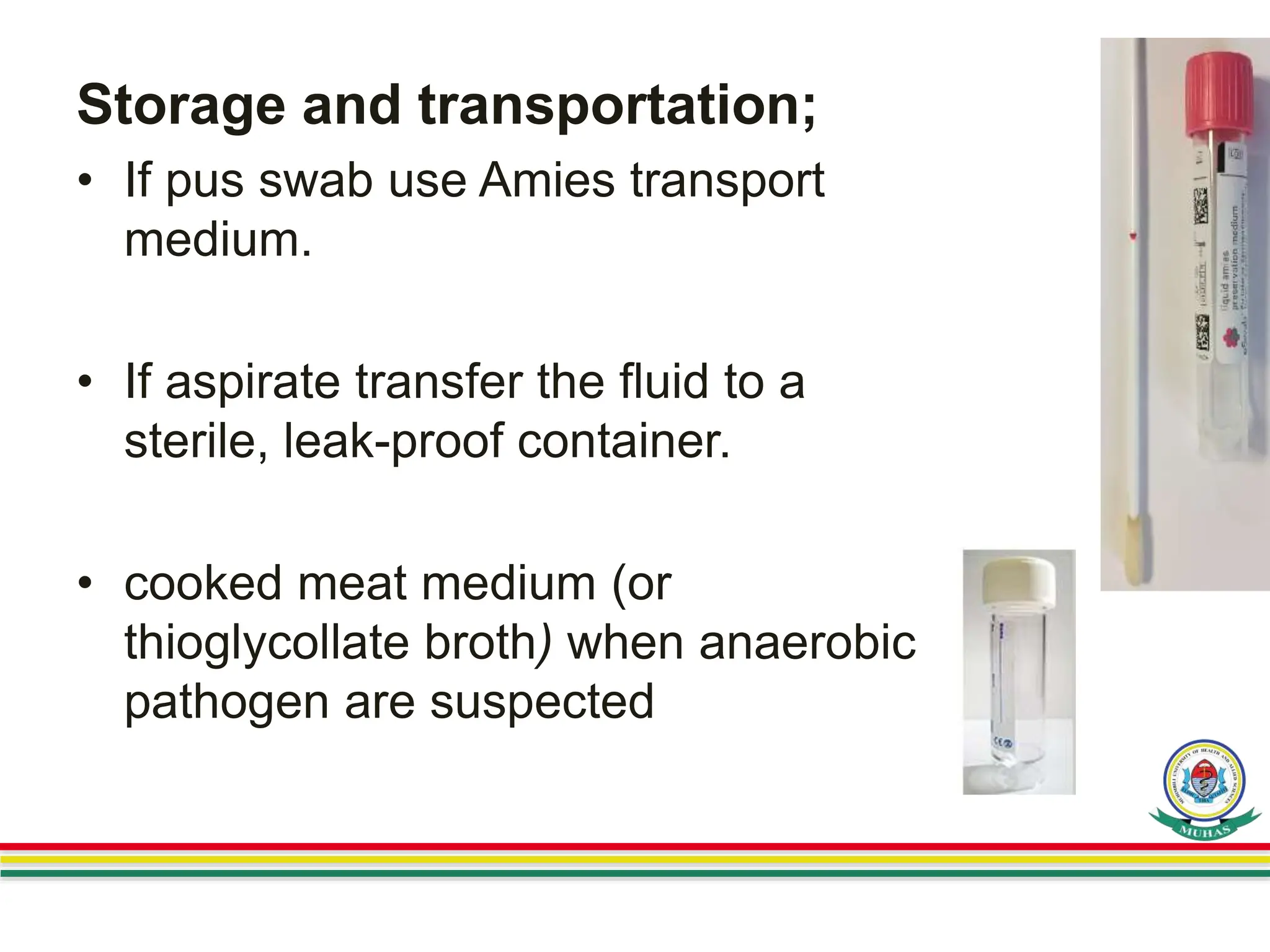 L8. Skin and soft tissue infections .pptx