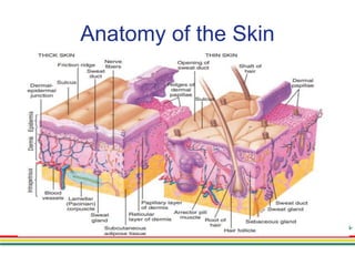 L8. Skin and soft tissue infections .pptx