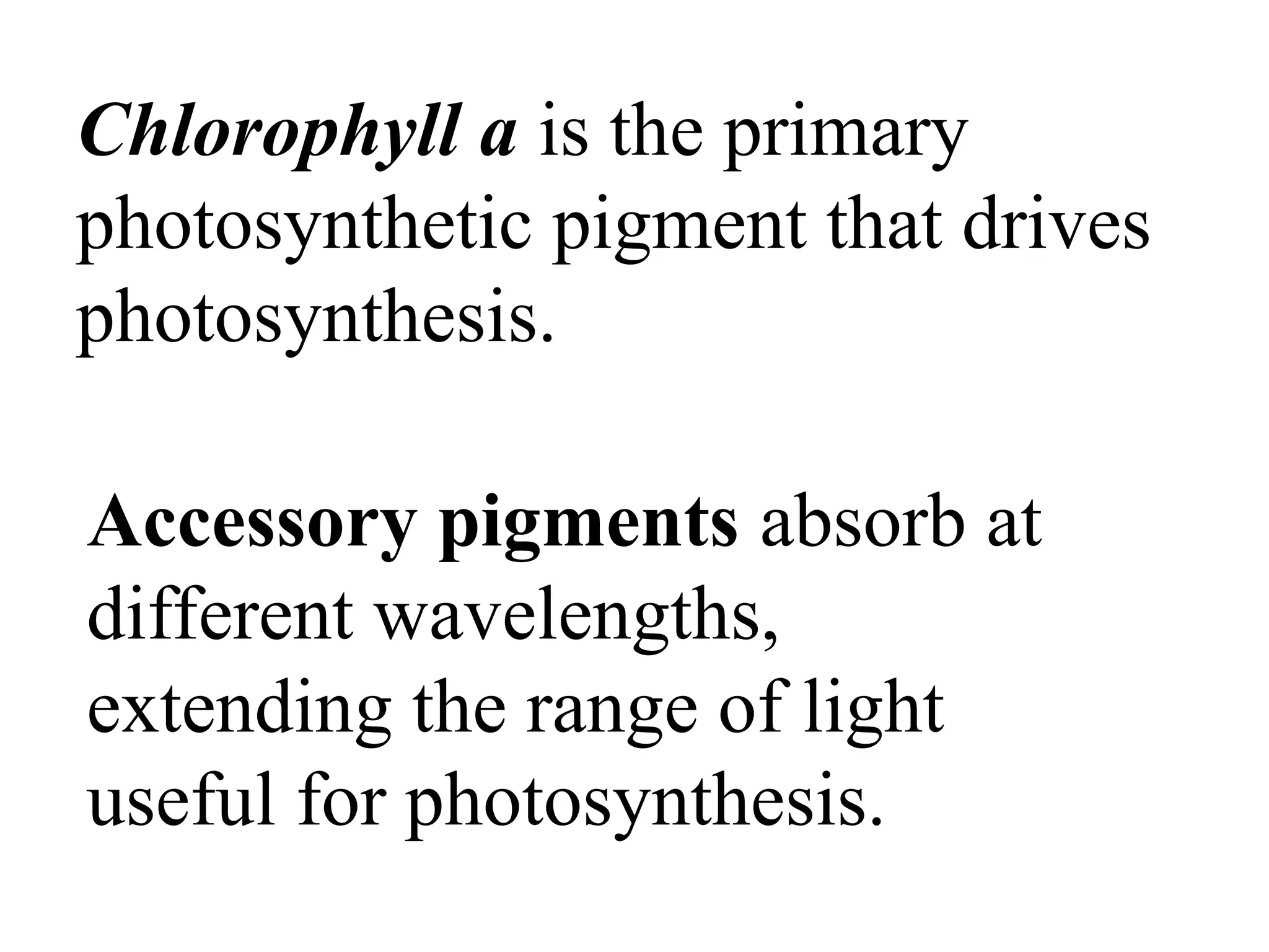 grade 8 science ppt, photosythesis and cellular respiration | PPT