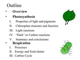 grade 8 science ppt, photosythesis and cellular respiration | PPT