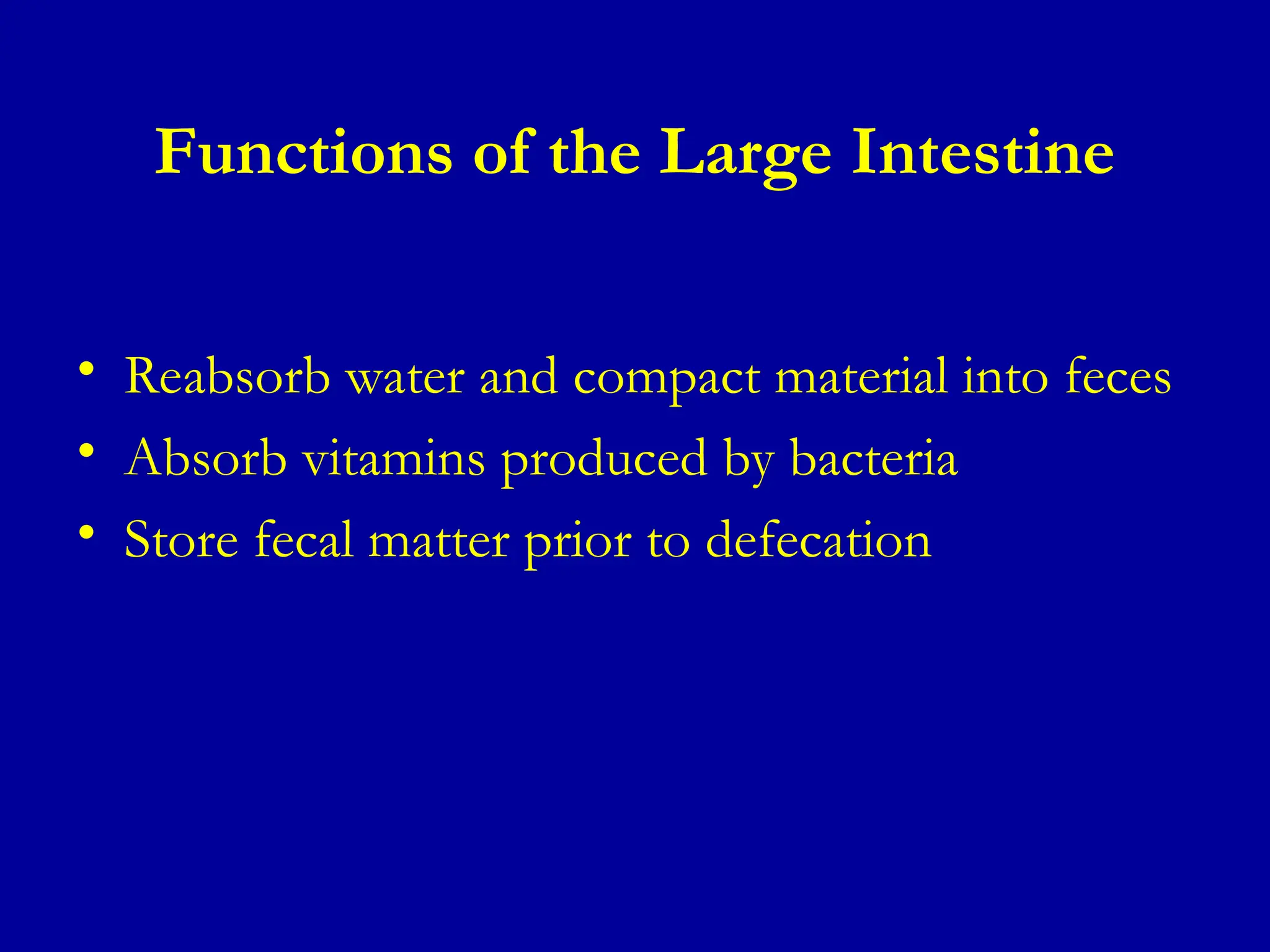 Anatomy of -The Large Intestine with all it's relations.ppt