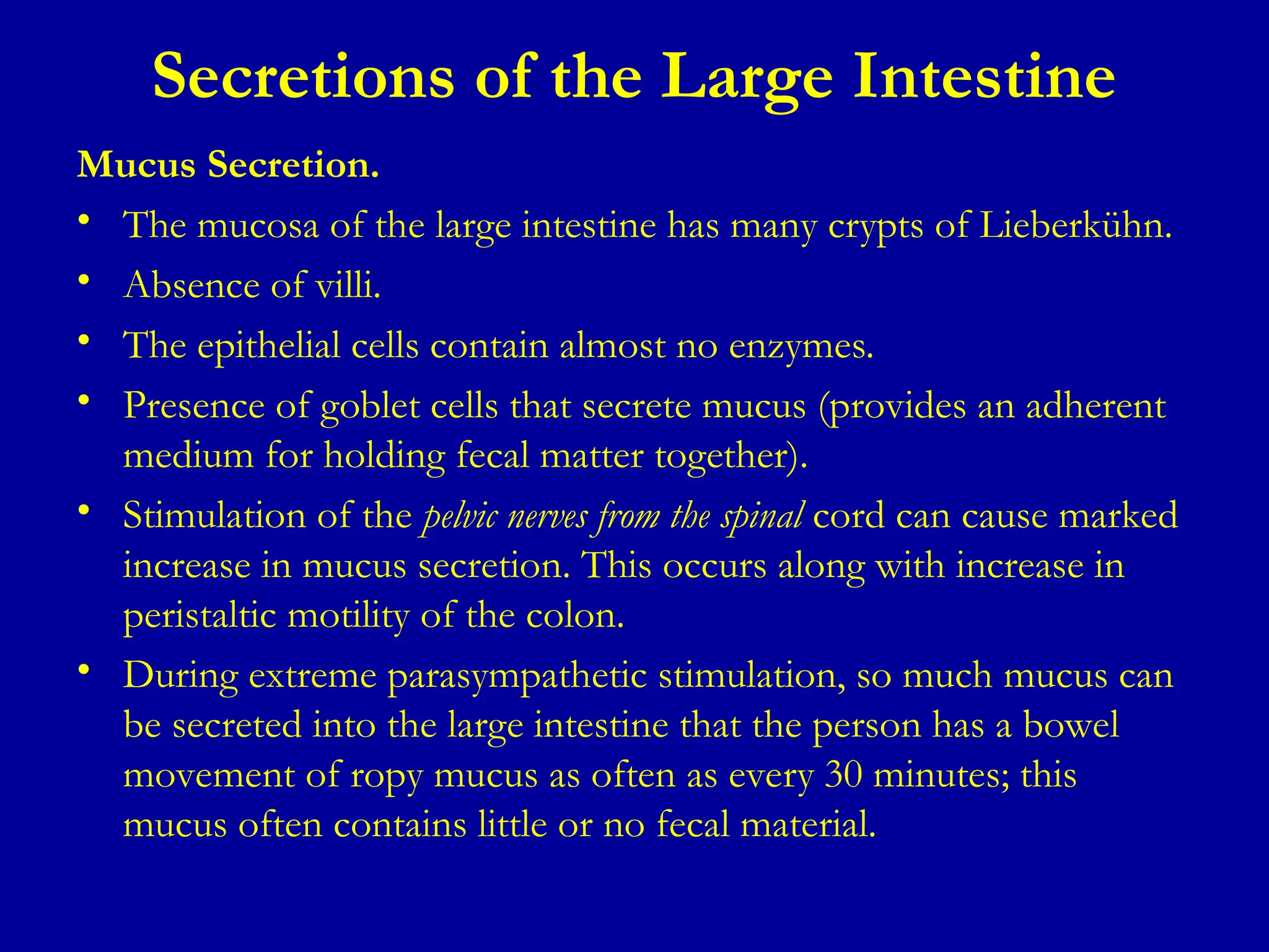 Anatomy of -The Large Intestine with all it's relations.ppt