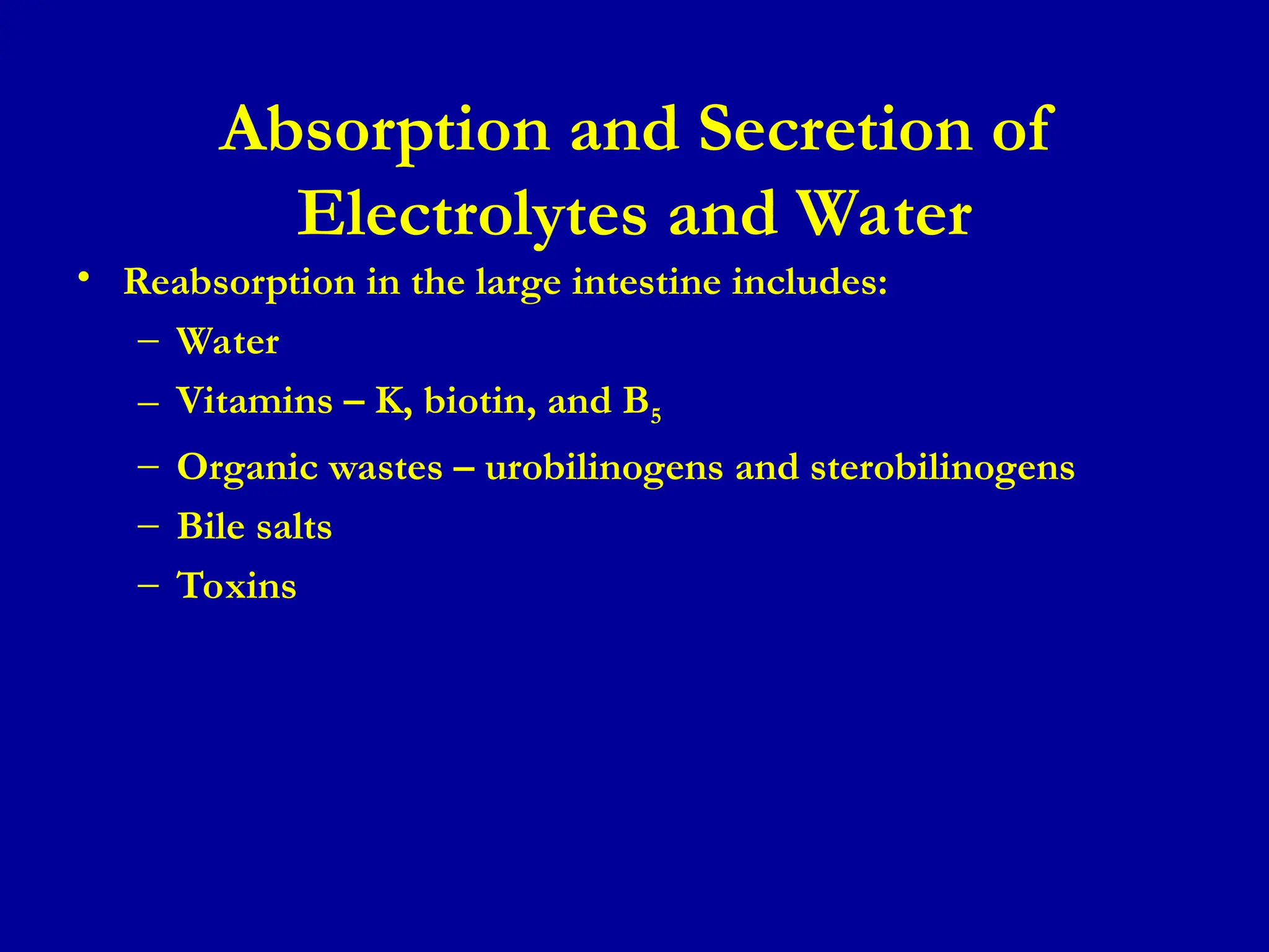 Anatomy of -The Large Intestine with all it's relations.ppt