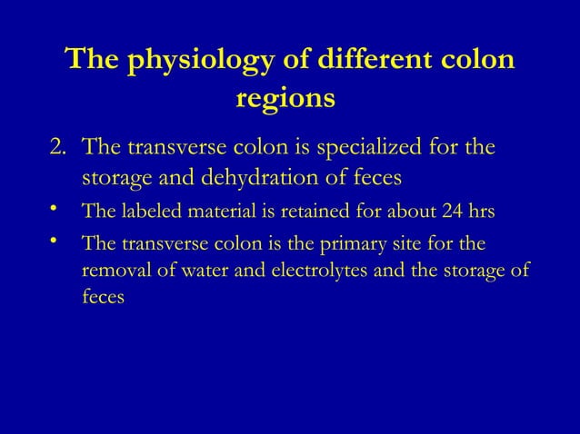 Anatomy of -The Large Intestine with all it's relations.ppt