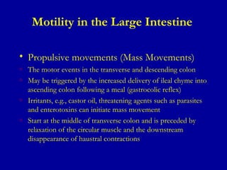 Anatomy of -The Large Intestine with all it's relations.ppt