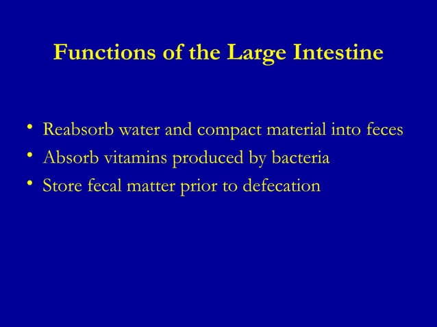 Anatomy of -The Large Intestine with all it's relations.ppt