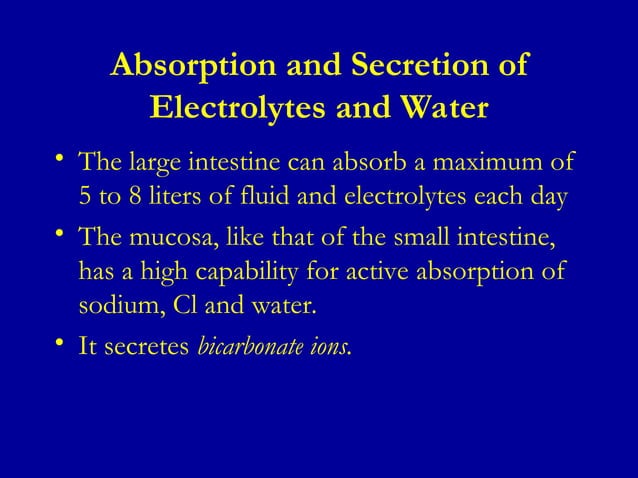 Anatomy of -The Large Intestine with all it's relations.ppt
