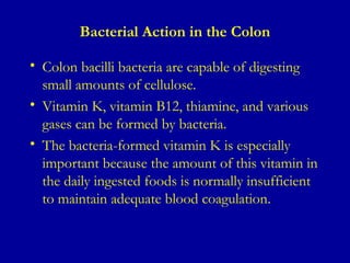 Anatomy of -The Large Intestine with all it's relations.ppt