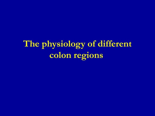 Anatomy of -The Large Intestine with all it's relations.ppt