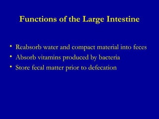 L8-The Large Intestine presentation on.ppt