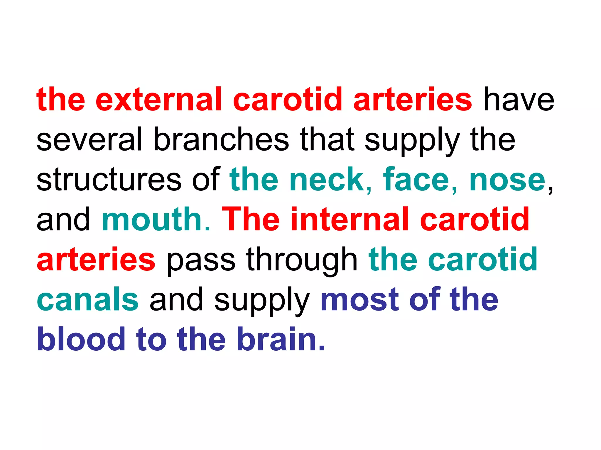 L8 circulation arteries | PPT