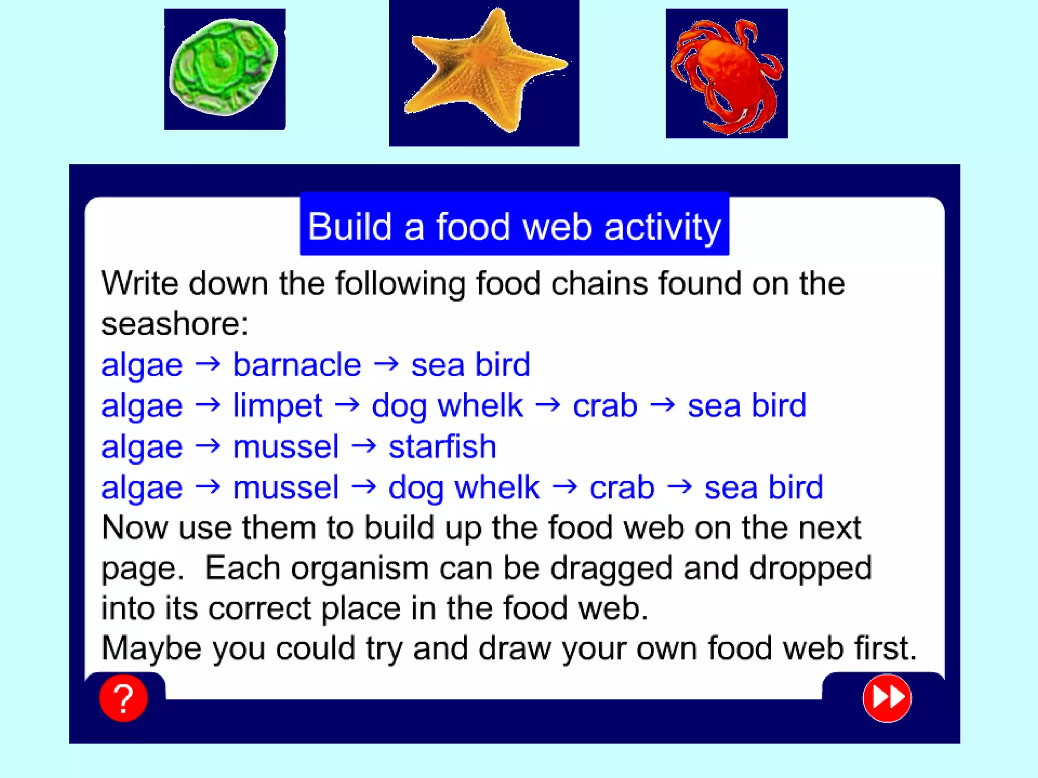 Lesson 8 food webs | PPT