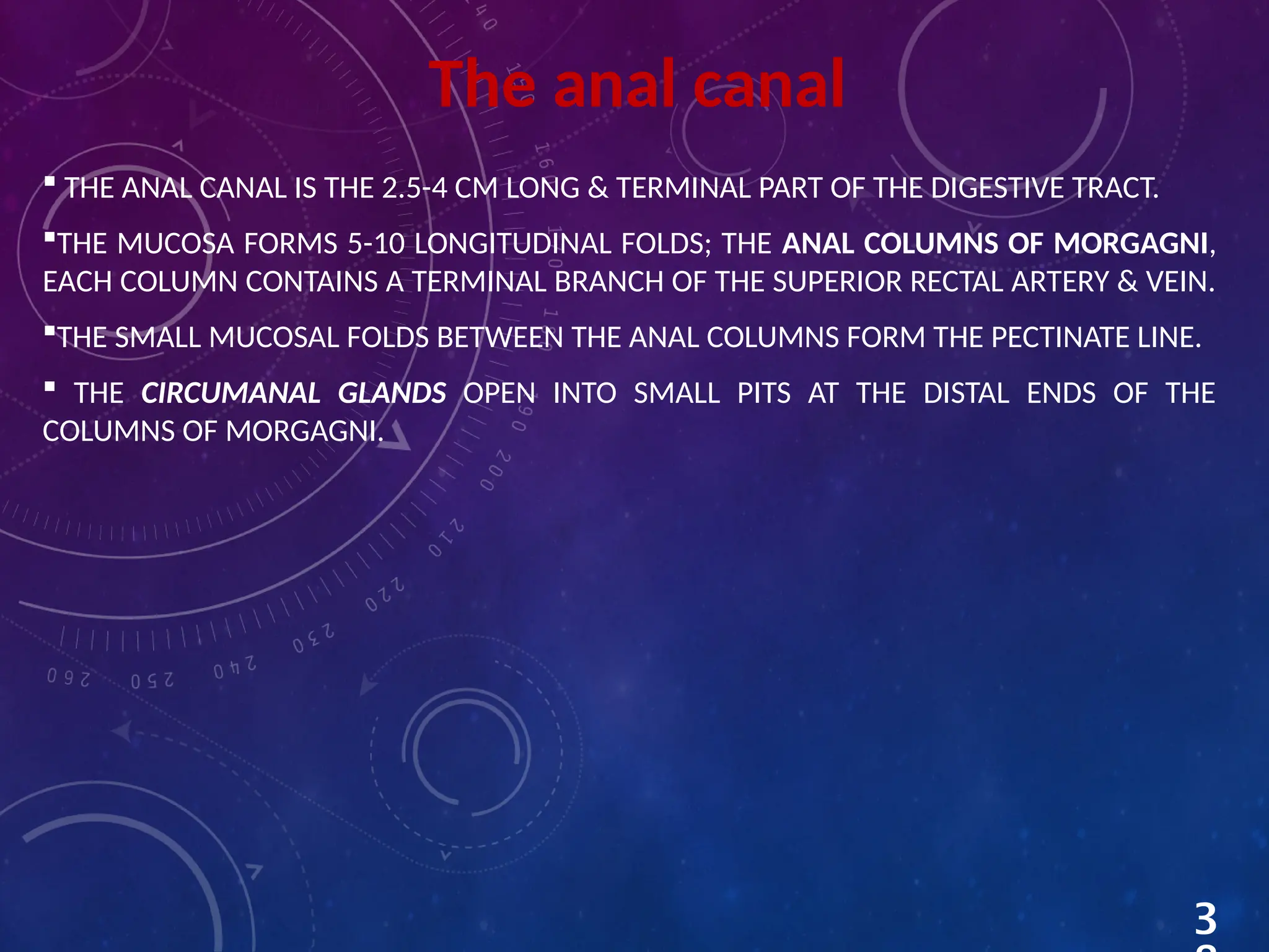 L8 Histology of Digestive 4 (small and large intistine-1.pptx