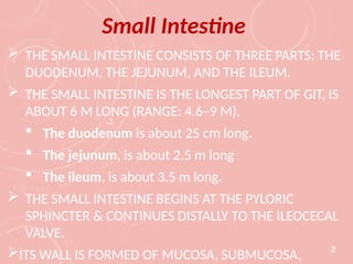 L8 Histology of Digestive 4 (small and large intistine-1.pptx