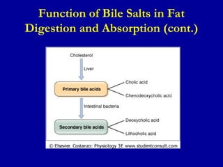 L8 & L9- Bile salt & Enterohepatic circulation.ppt