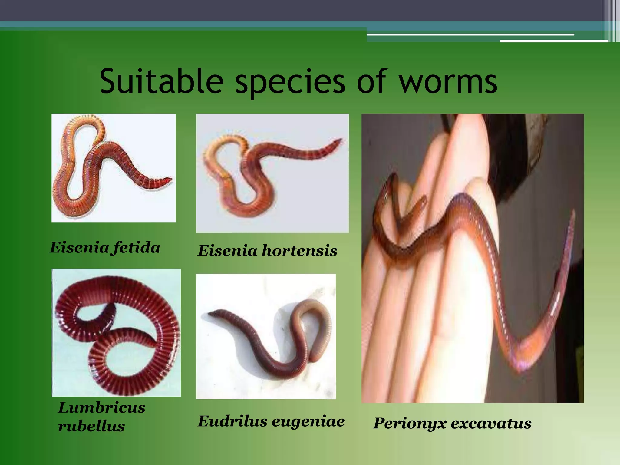 A self study report on topic biocomposting | PPTX